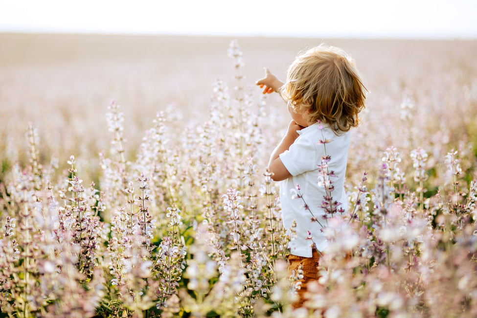 Which flower is associated with your child's birth month? – LILLYDOO